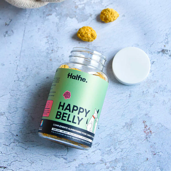 Halfie Happy Belly – BOXANIMAL.EU